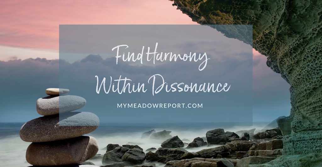 Find Harmony Within Dissonance - Renée Fishman