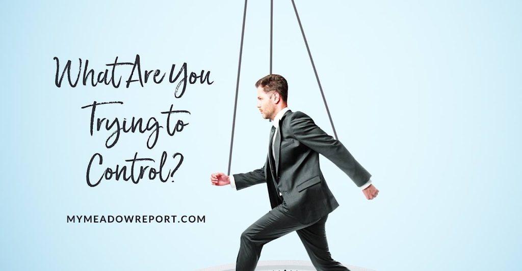 A New Way to Identify What You Are Trying to Control - Renée Fishman