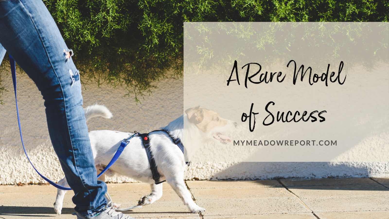 A Rare Model of Success - Renée Fishman