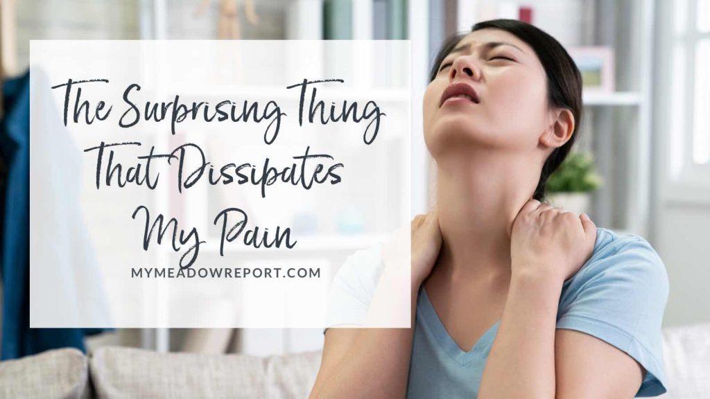 The Surprising Thing That Dissipates My Pain - Renée Fishman