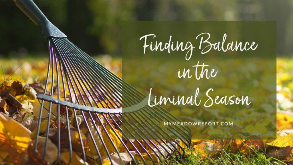 Finding Balance in the Liminal Space - Renée Fishman