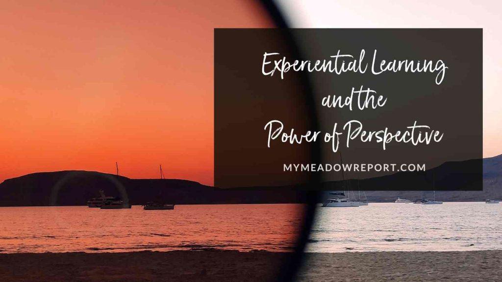 Experiential Learning and the Power of Perspective - Renée Fishman