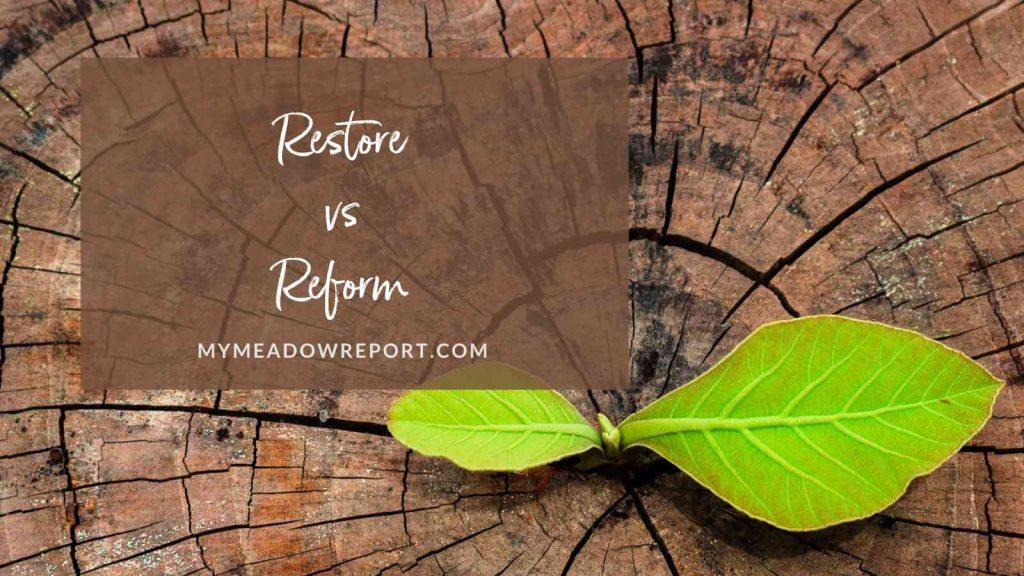 The Choice After Every Disruption: Restore vs Reform - Renée Fishman