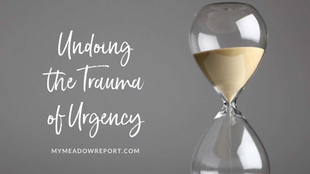 Undoing the Trauma of Urgency - Renée Fishman