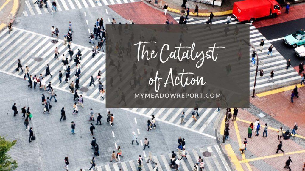 The Catalyst of Action - Renée Fishman
