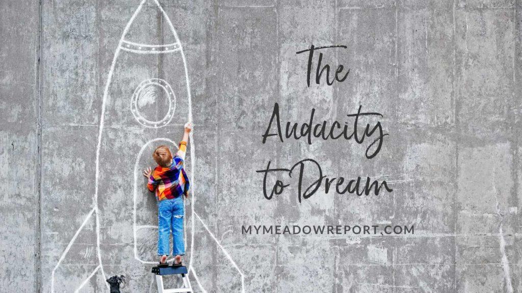 The Audacity to Dream - Renée Fishman