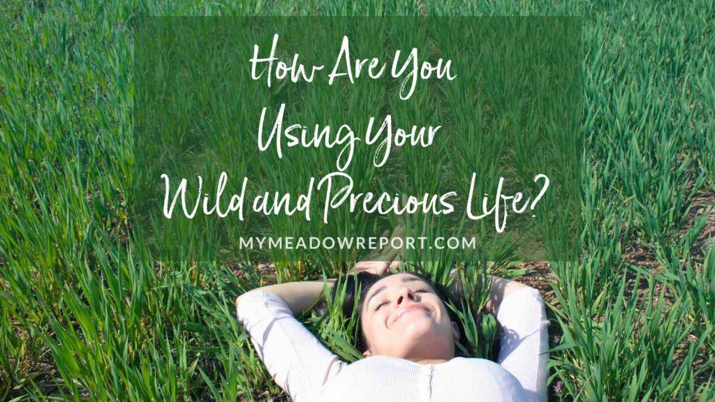 How Are You Using Your Wild and Precious Life? - Renée Fishman