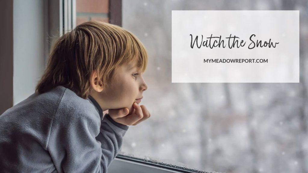 Watching the Snow Fall is a Form of Meditation - Renée Fishman