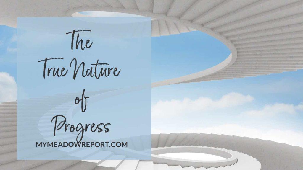 The True Nature of Progress - Renée Fishman