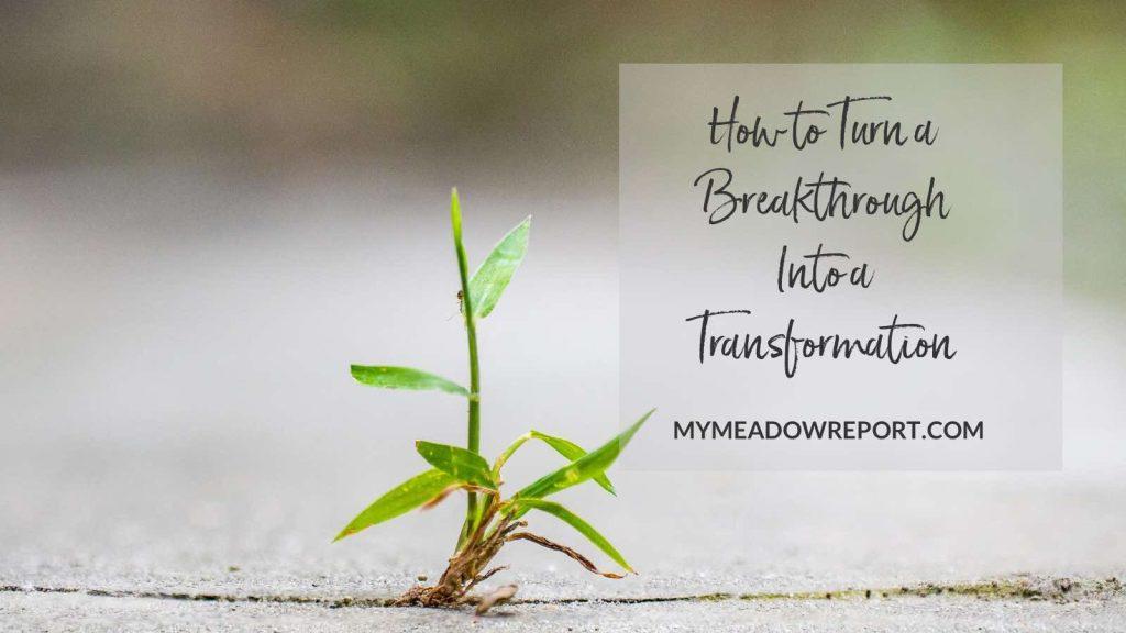 How to Turn a Breakthrough Into a Transformation - Renée Fishman