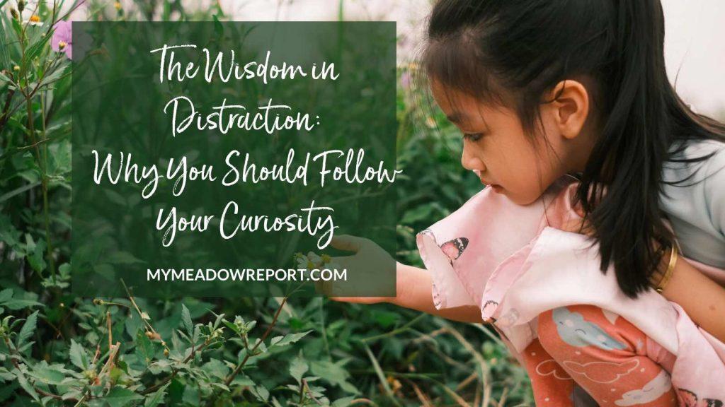The Wisdom in Distraction: Why You Should Follow Your Curiosity - Renée ...