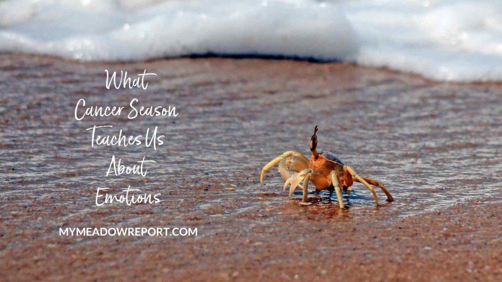 What Cancer Season Teaches Us About Emotions - Renée Fishman