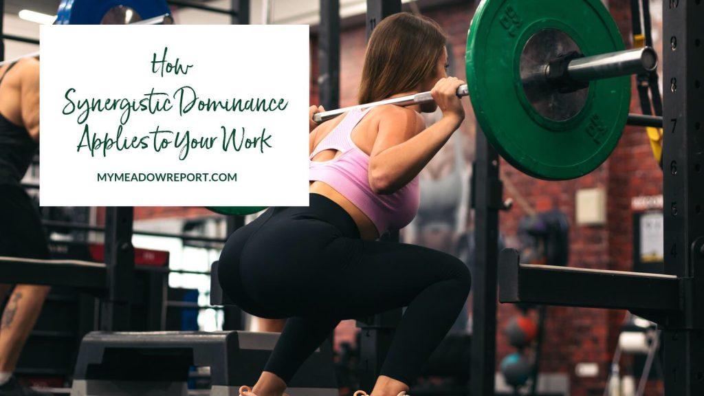 How Synergistic Dominance Applies to Your Work - Renée Fishman