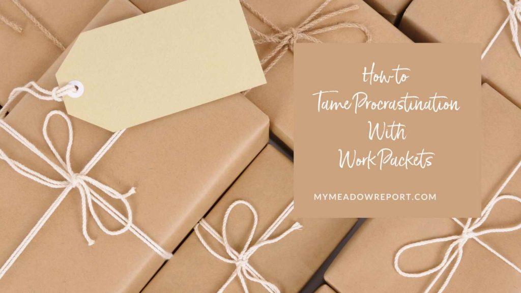 How to Tame Procrastination with Work Packets - Renée Fishman